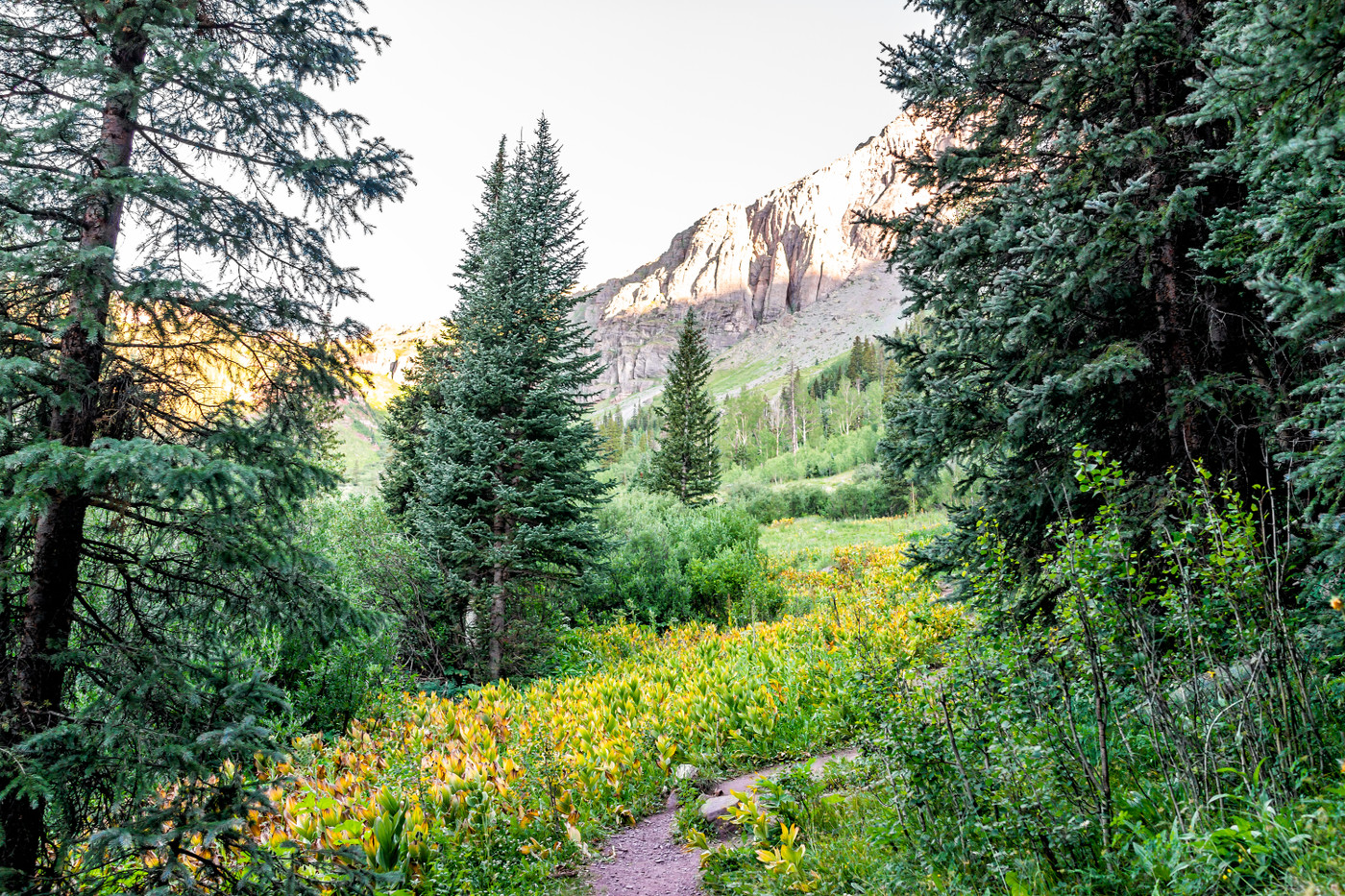 Lily Lake Trail (Map, Images and Tips) | Seeker