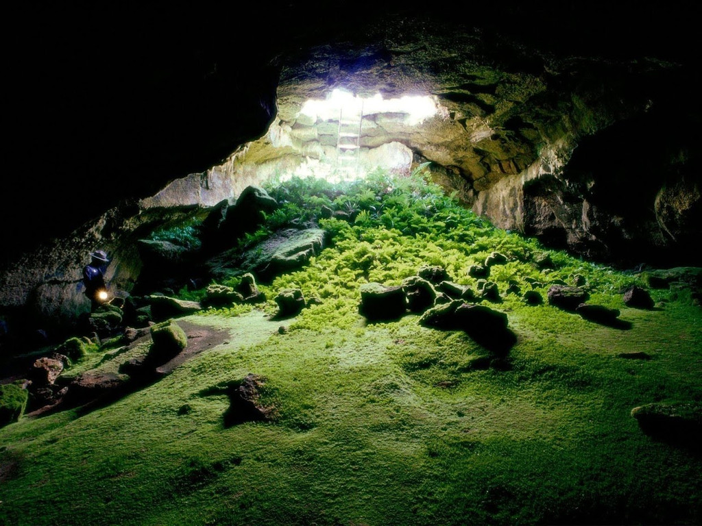 Amazing Caves in Northern California (with Map and Images) | Seeker