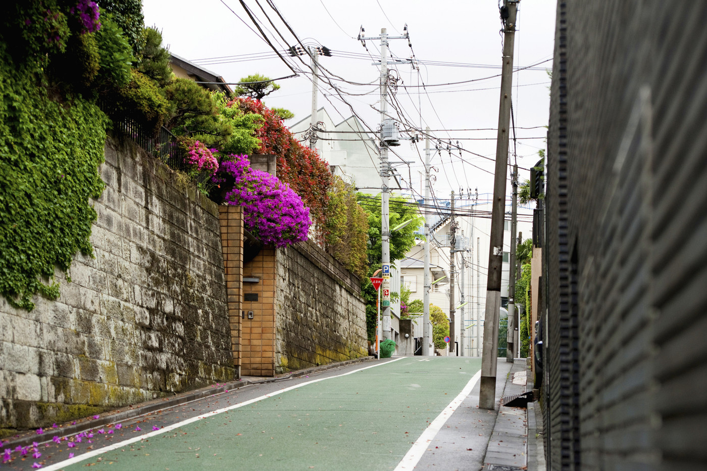Shimokitazawa (Map, Images and Things to do) | Seeker