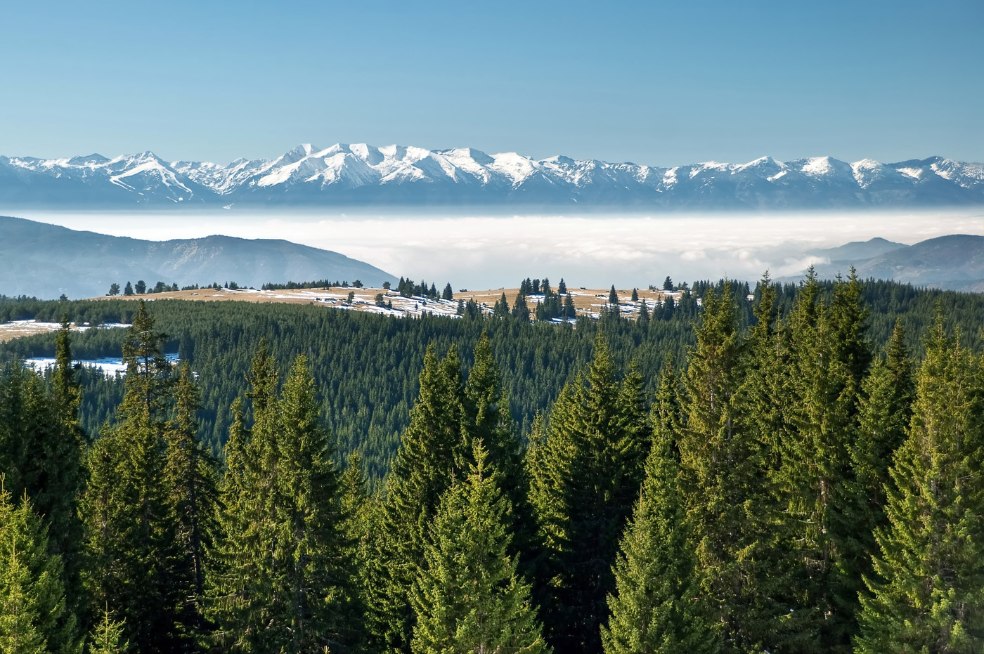 Pirin National Park (Map, Images and Tips) | Seeker