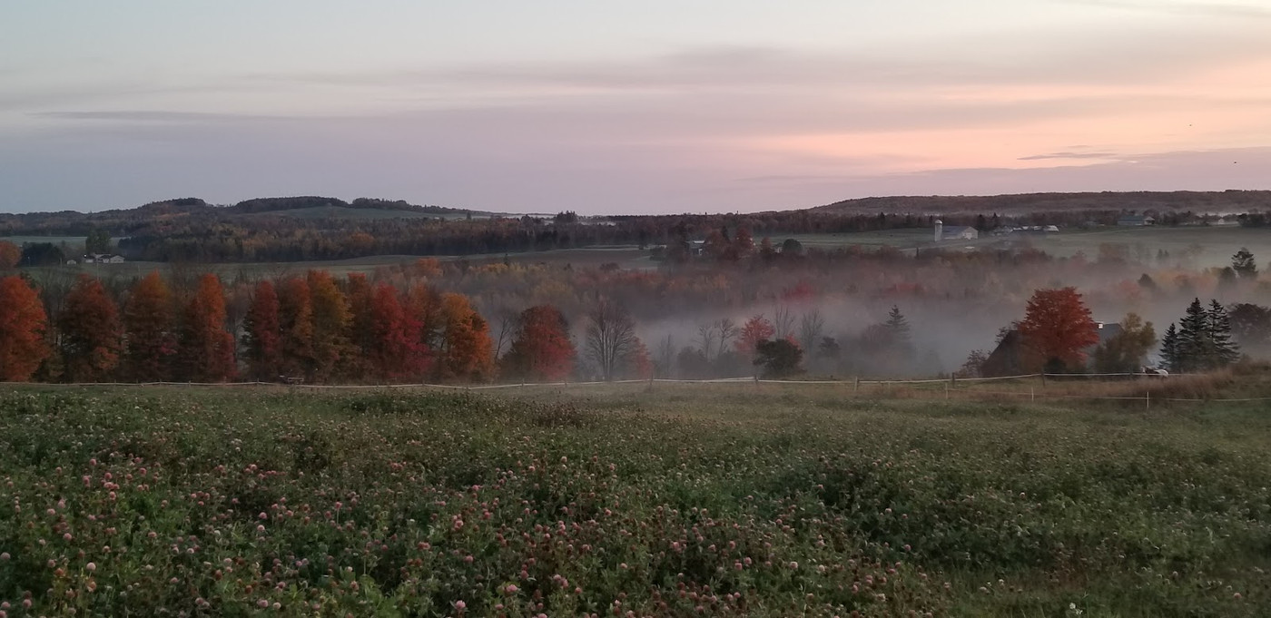 Hidden Spring Winery (Map, Images and Tips) | Seeker