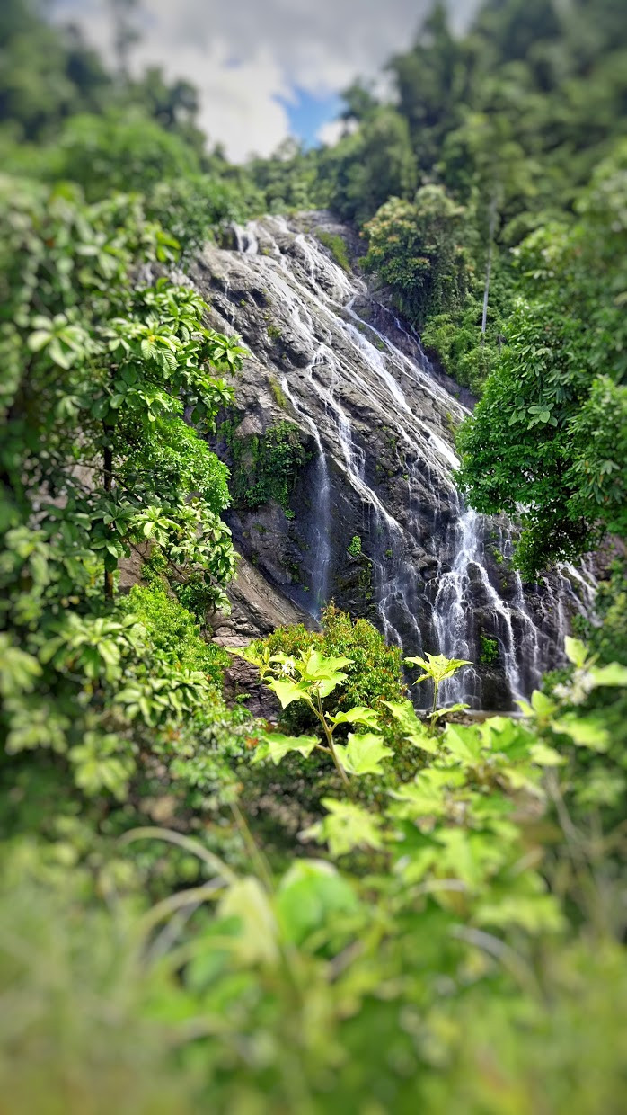 Compostela Valley (Map, Images and Things to do) | Seeker