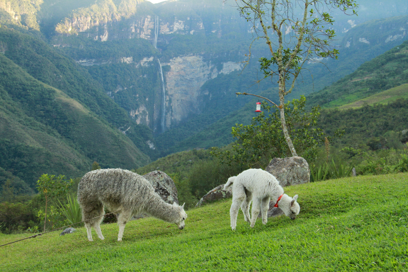 Gocta Waterfall (Map, Images and Tips) | Seeker