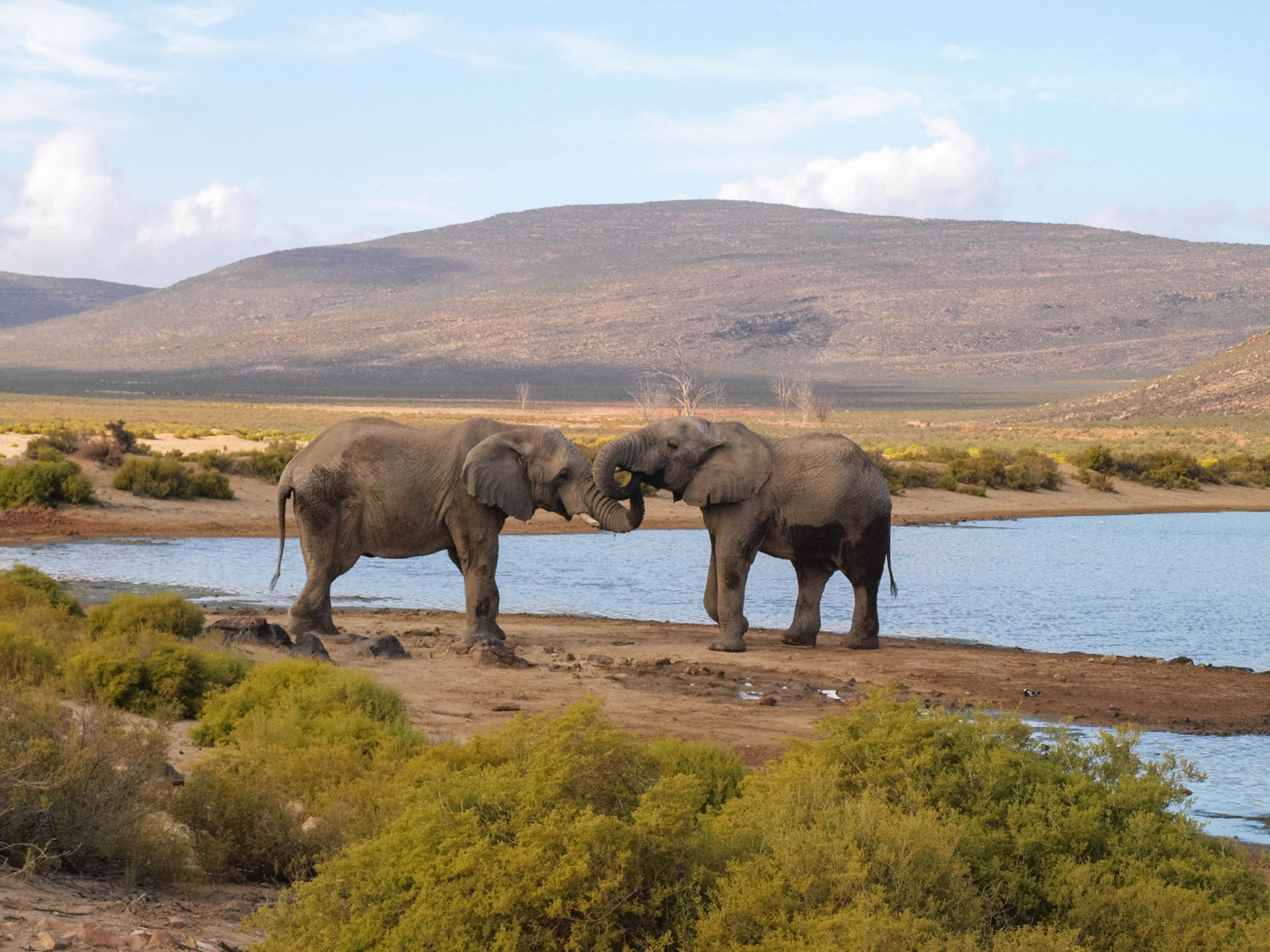 Aquila Private Game Reserve (Map, Images and Tips) | Seeker