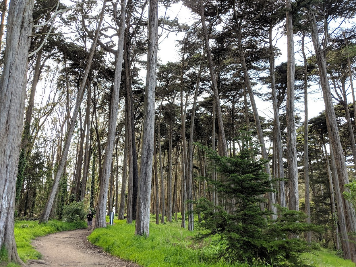 Ecology Trail (Map, Images and Tips) | Seeker