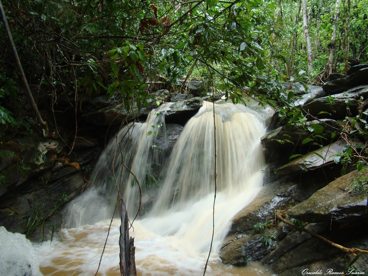 Parque Nacional San Esteban (Map, Images and Tips) | Seeker