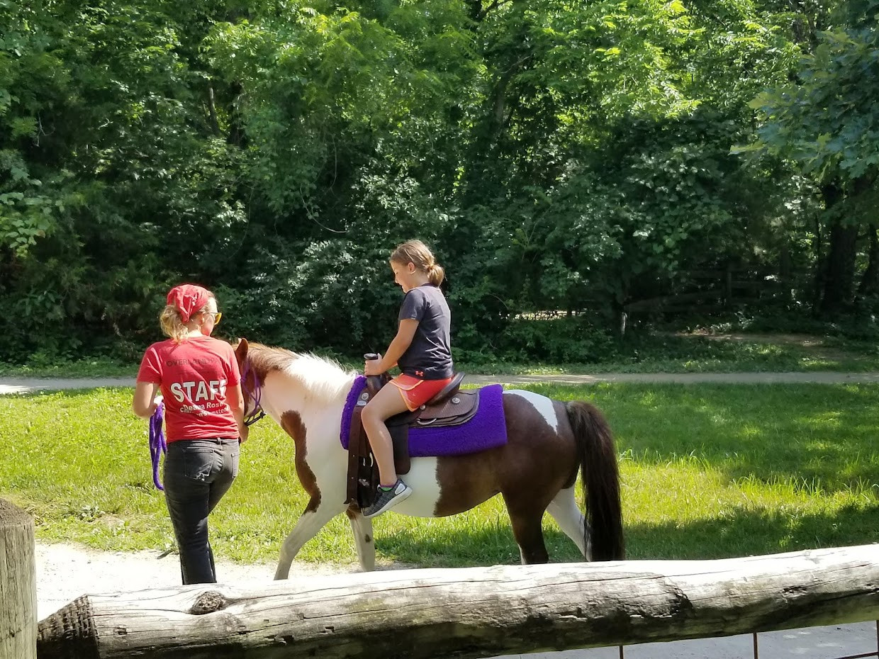 Deanna Rose Children's Farmstead (Map, Images and Tips) | Seeker