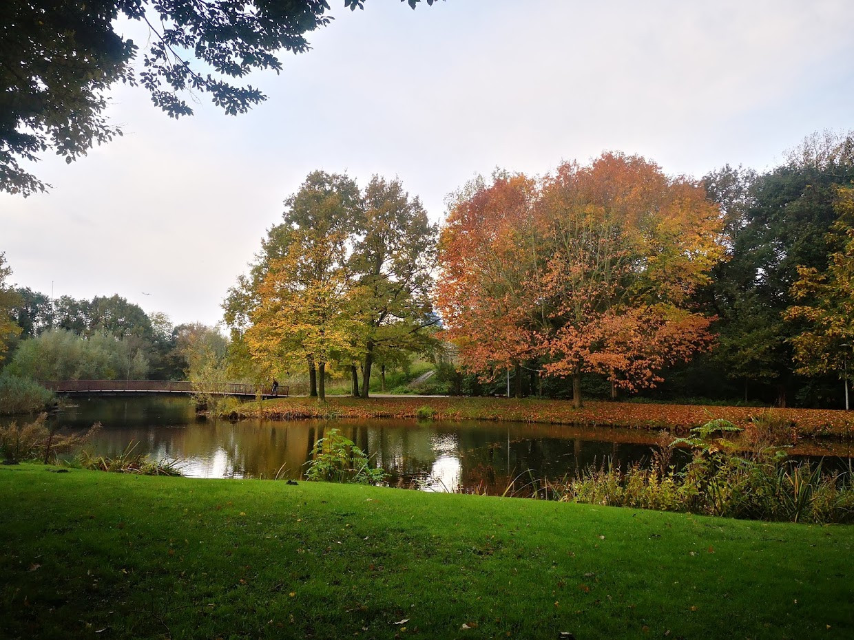 Prinses Beatrixpark (Map, Images and Tips) | Seeker