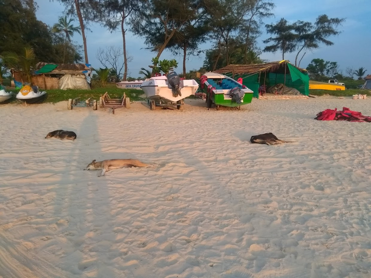 Cavelossim Beach (Map, Images and Tips) | Seeker