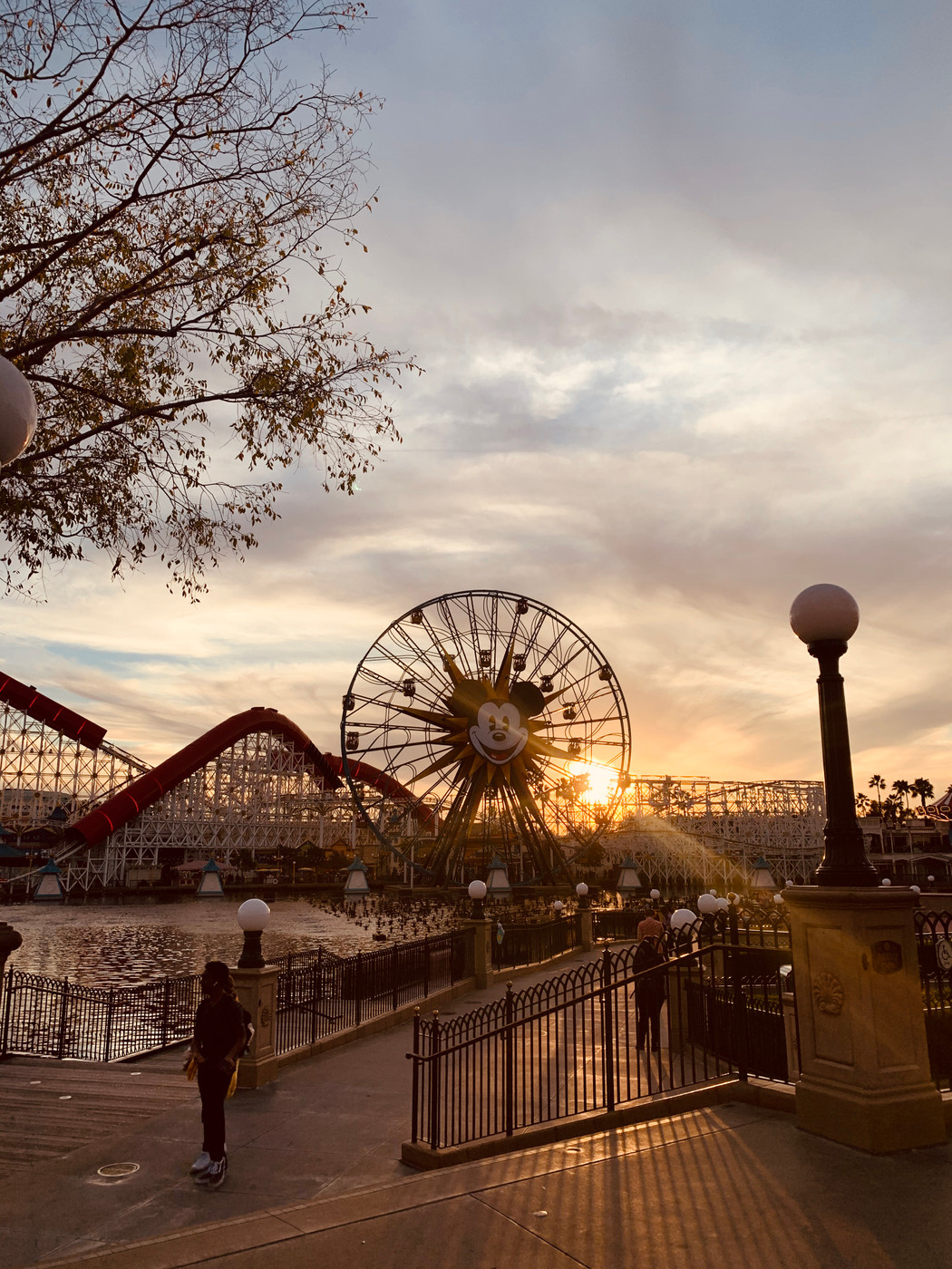 Disneyland Park (Map, Images and Tips) | Seeker