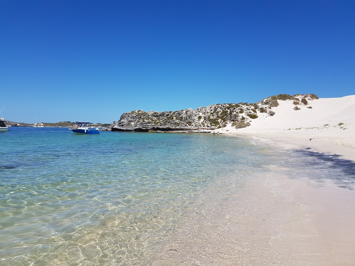 Rottnest Island (Map, Images and Things to do) | Seeker