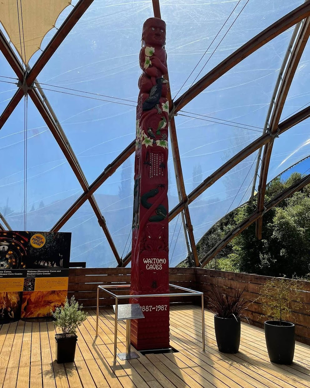 Waitomo Caves (Map, Images and Things to do) | Seeker