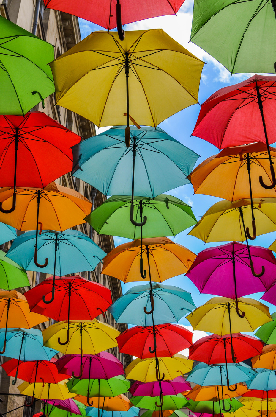 Umbrella Sky Project (Map, Images and Tips) | Seeker