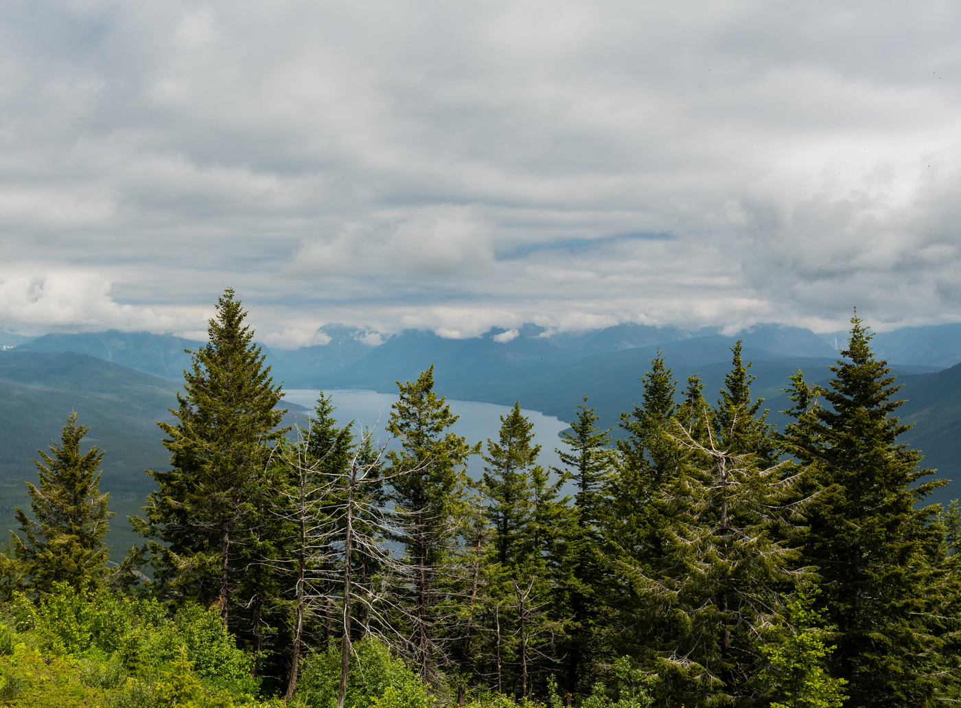 Apgar Lookout Trail (Map, Images and Tips) | Seeker