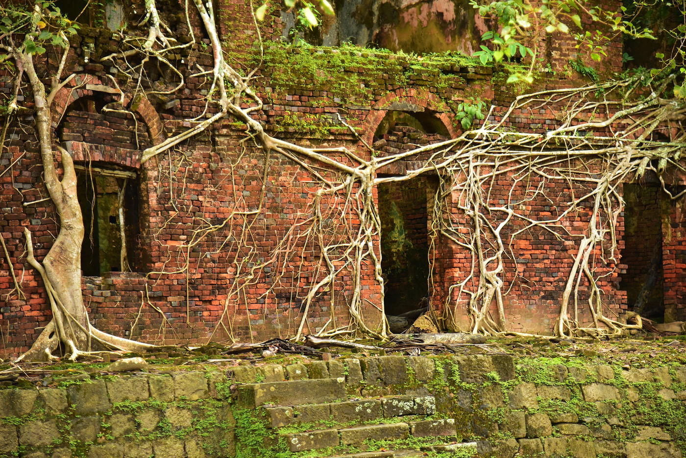 House of Netaji Subhash Chandra Bose (Map, Images and Tips) | Seeker
