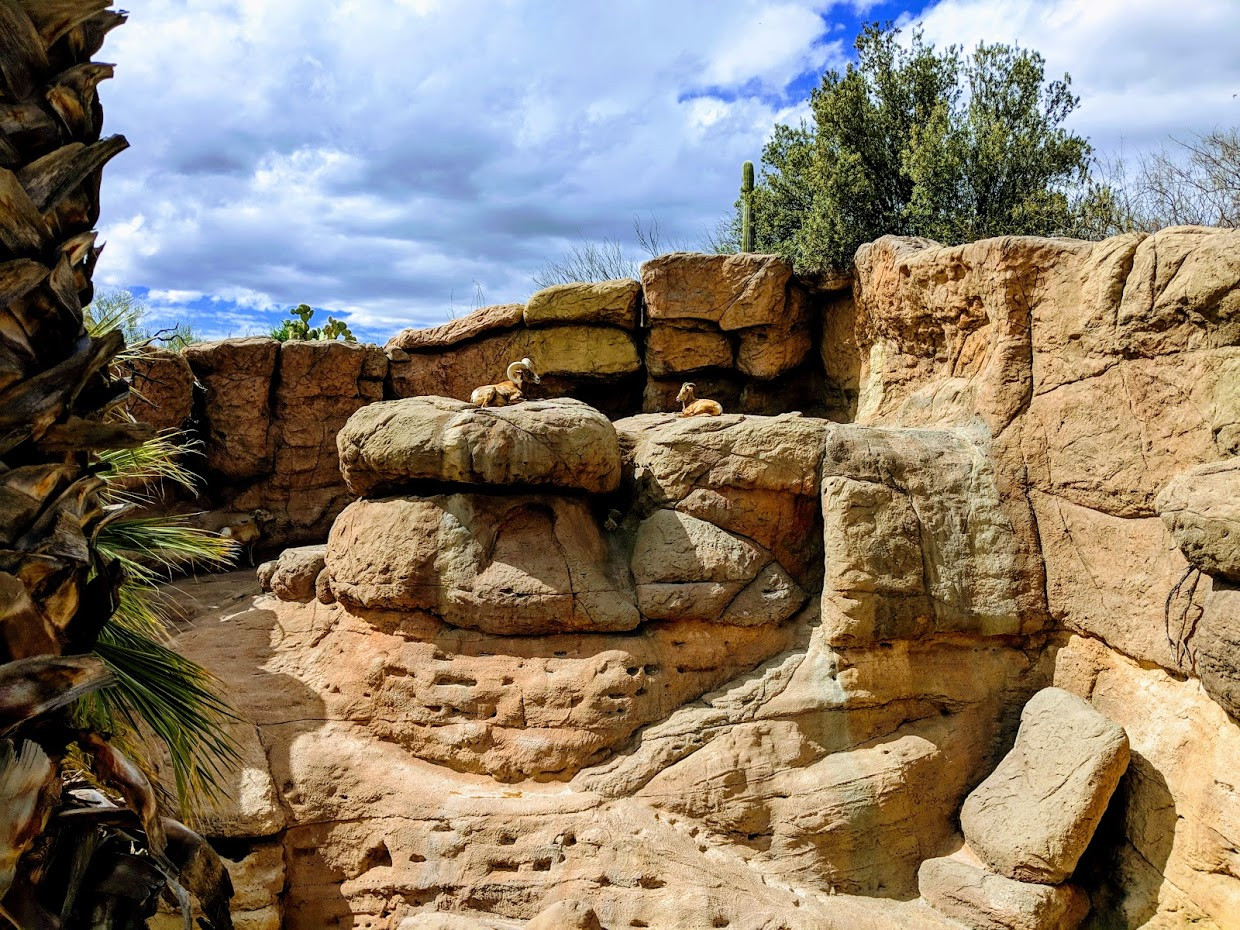 Tucson Mountain Park (Map, Images and Tips) | Seeker