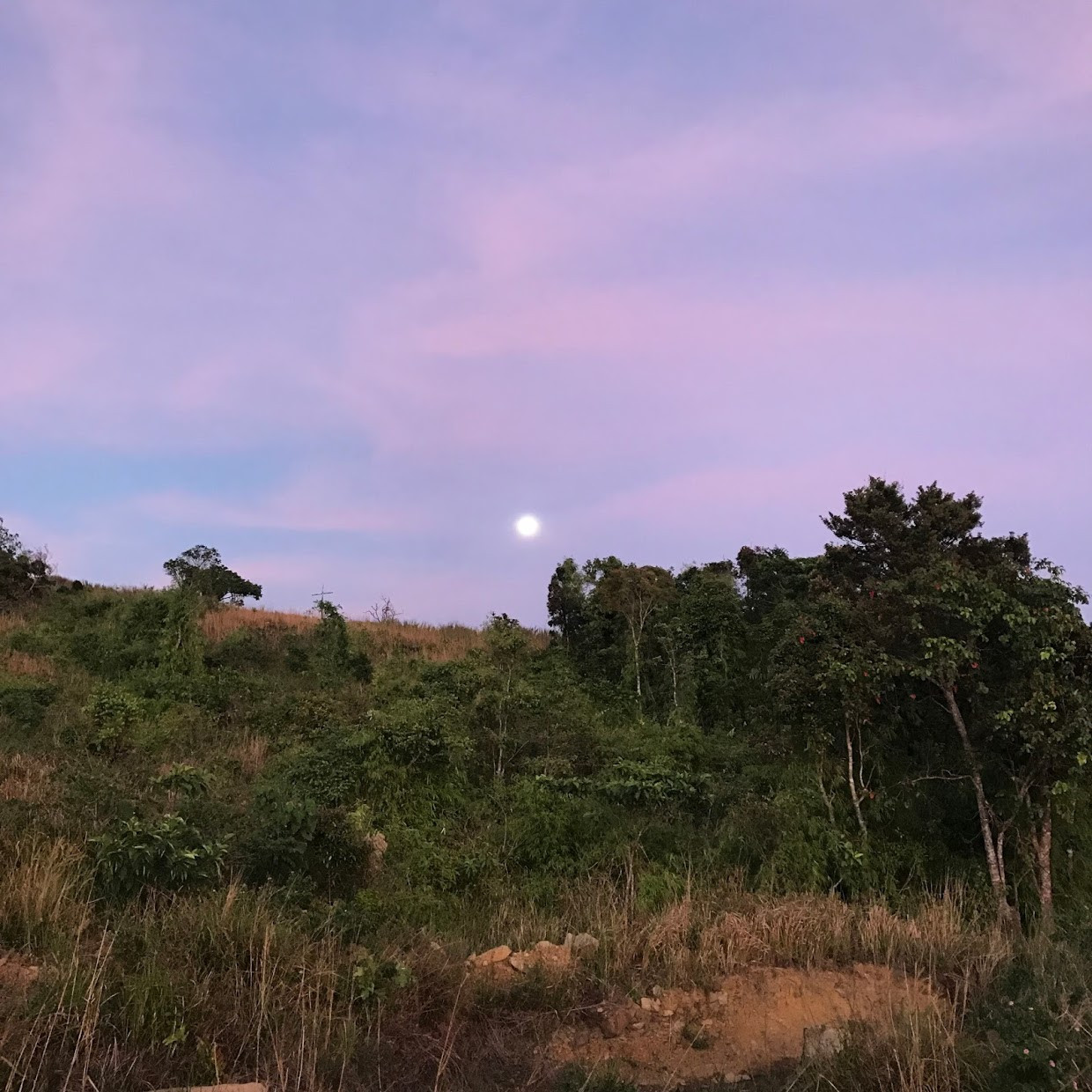 Mount Balagbag (Map, Images and Tips) | Seeker