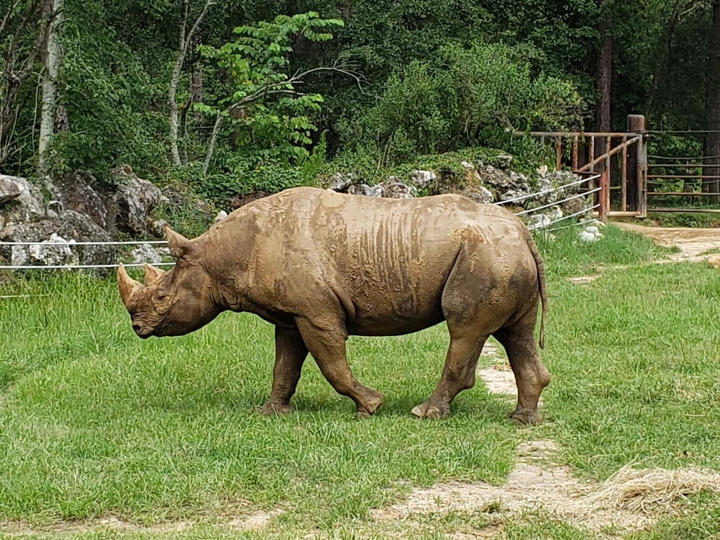 Chehaw Park & Zoo (Map, Images and Tips) | Seeker