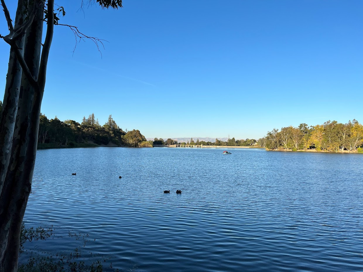 Vasona Lake County Park (Map, Images and Tips) | Seeker