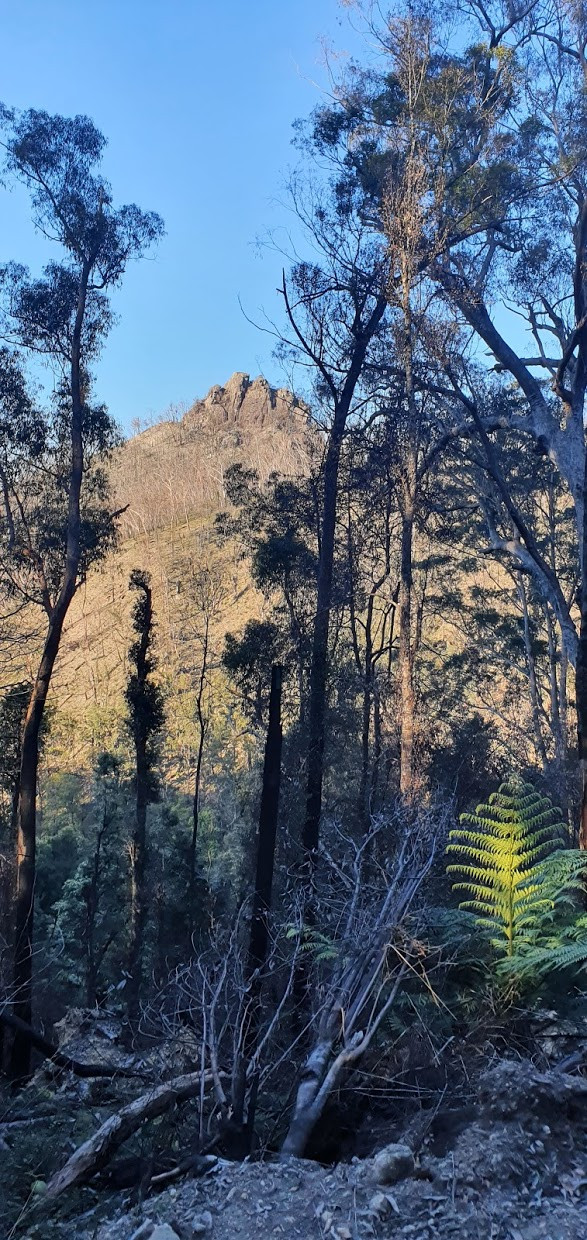 Carrai National Park (Map, Images and Tips) | Seeker