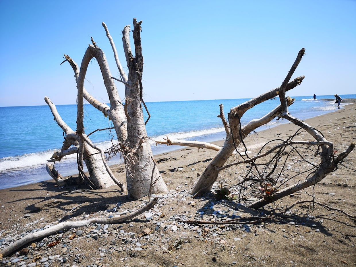 Point Pelee National Park (Map, Images and Tips) | Seeker