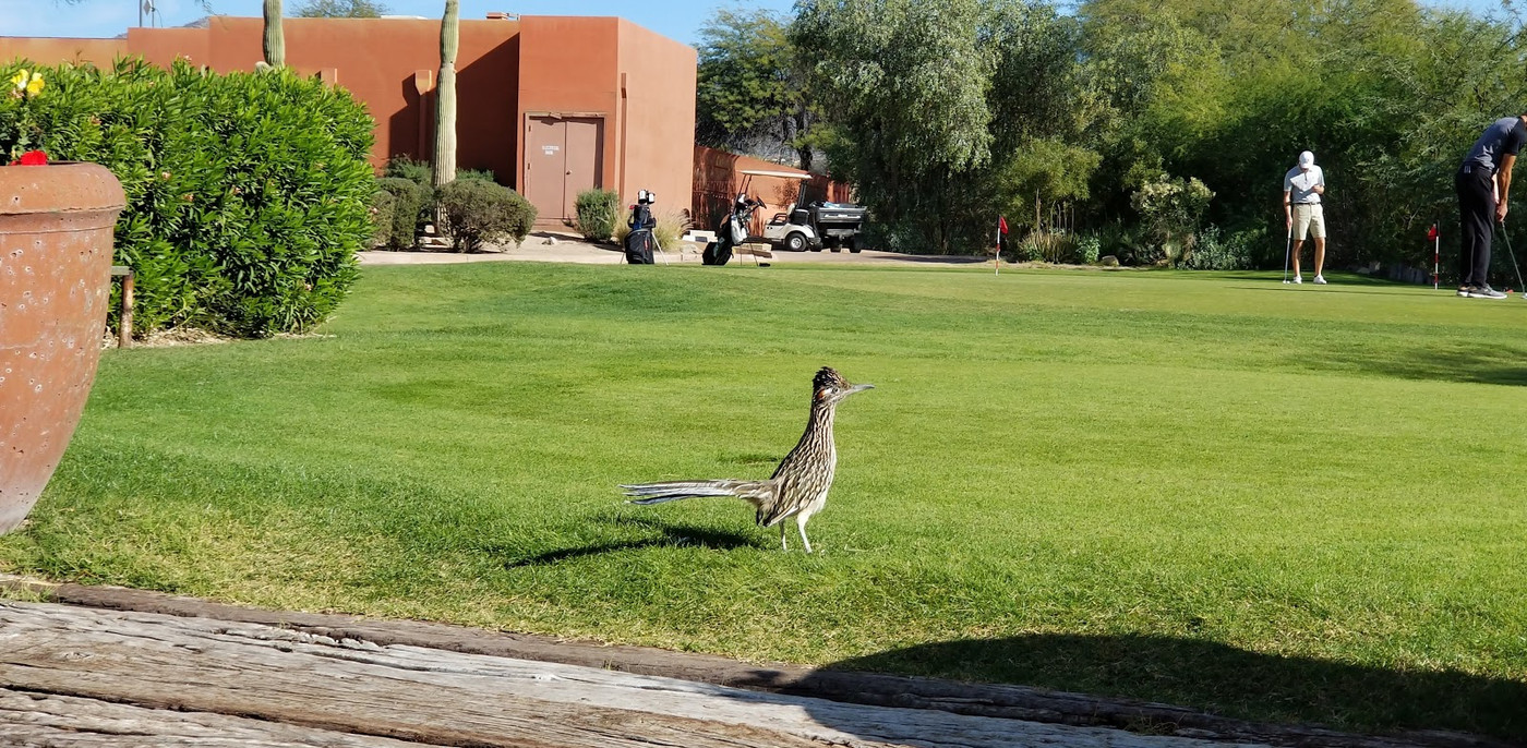 Red Mountain Ranch Country Club (Map, Images and Tips) | Seeker