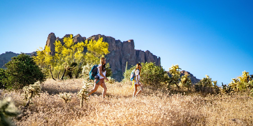 Your Sports Destination Guide to Mesa- Things to do, see and where to ...