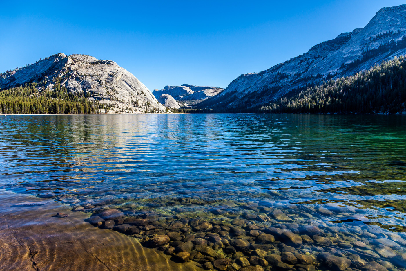 Tenaya Lake (Map, Images and Tips) | Seeker