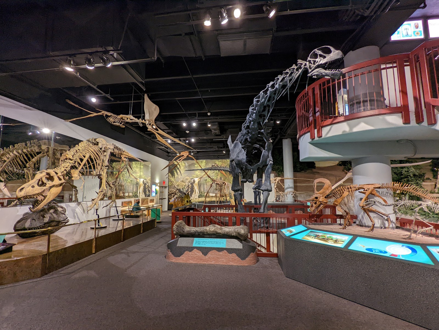 Arizona Museum of Natural History (Map, Images and Tips) | Seeker