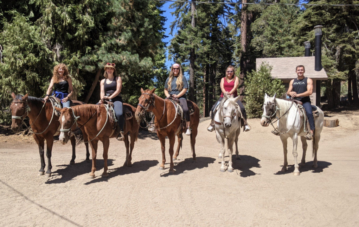 Grant Grove Stables (Map, Images and Tips) | Seeker