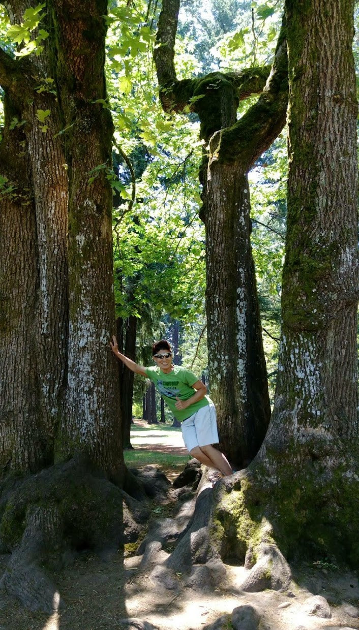 Mount Tabor Park Playground (Map, Images and Tips) | Seeker