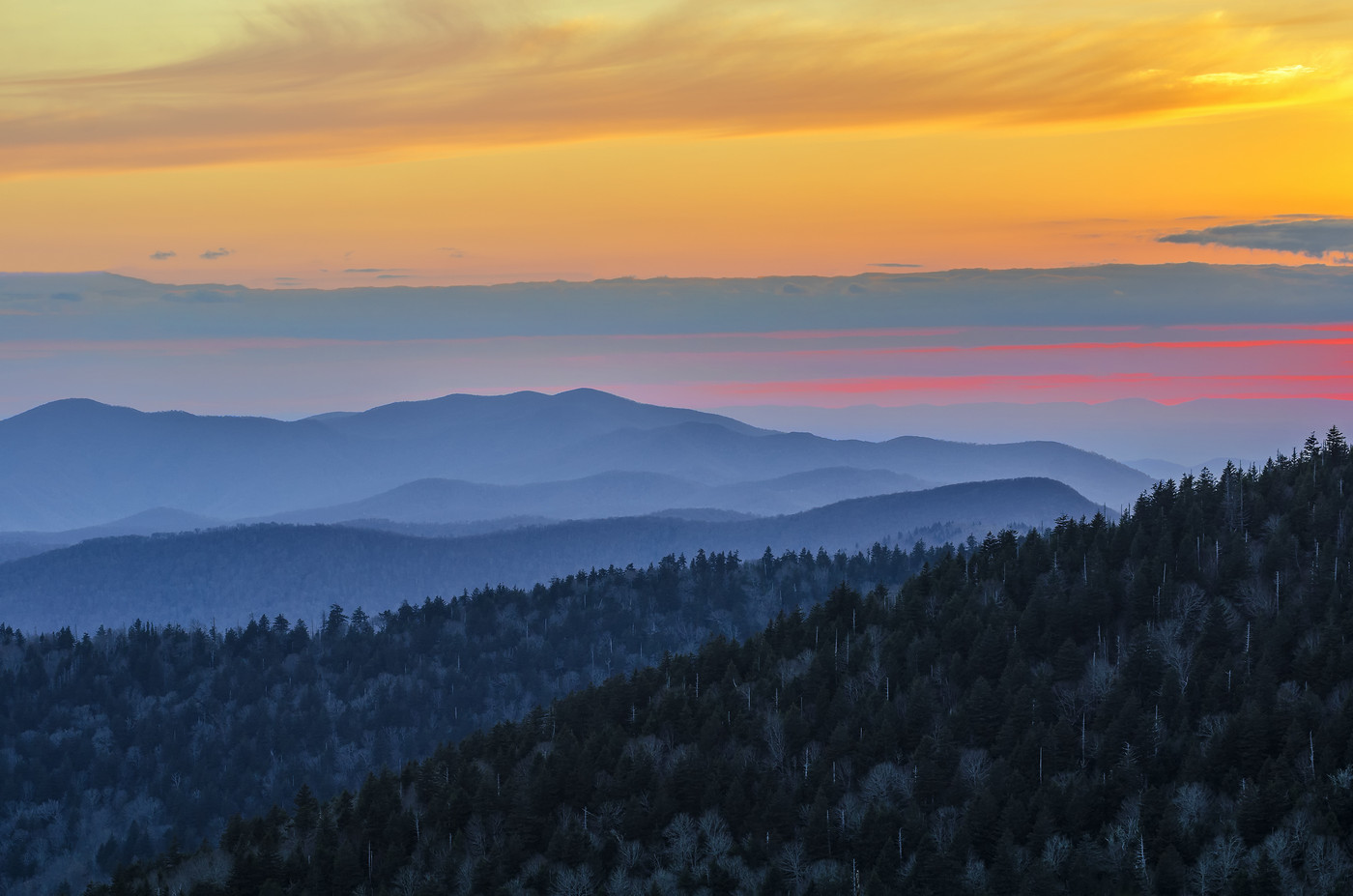 Cherokee National Forest (Map, Images and Tips) | Seeker