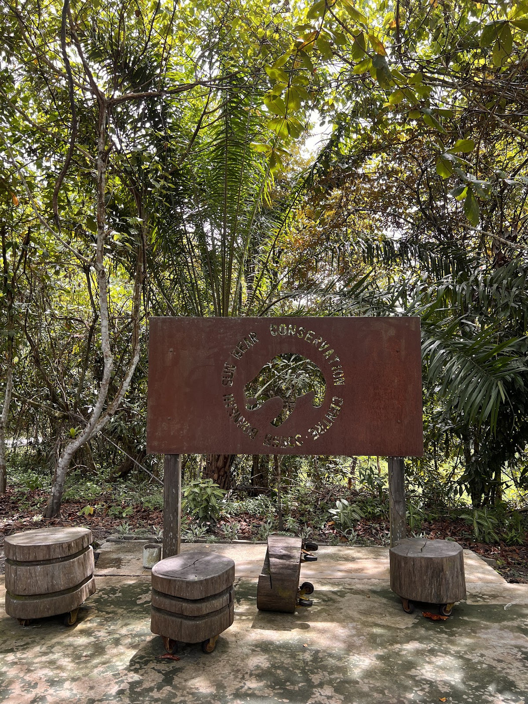 Bornean Sun Bear Conservation Centre (BSBCC) (Map, Images and Tips ...