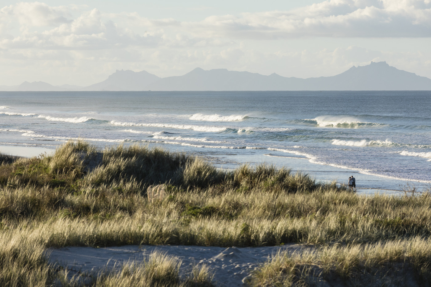 Te Arai Point - Aotearoa Surf (Map, Images and Tips) | Seeker
