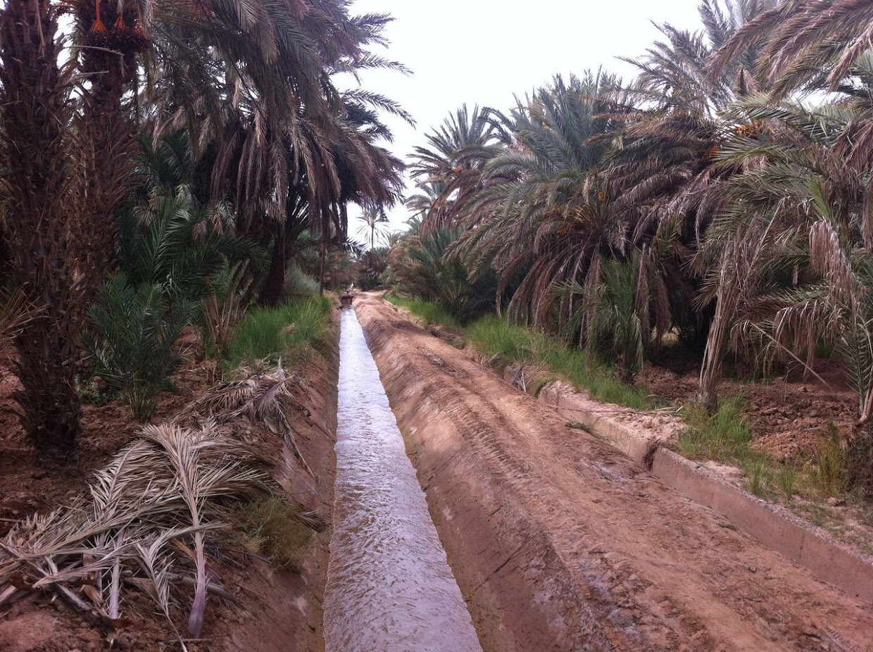 Erfoud (Map, Images and Things to do) | Seeker