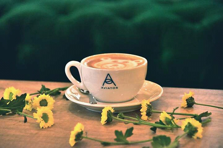 Aviator Coffee Explorer (Map, Images and Tips) | Seeker