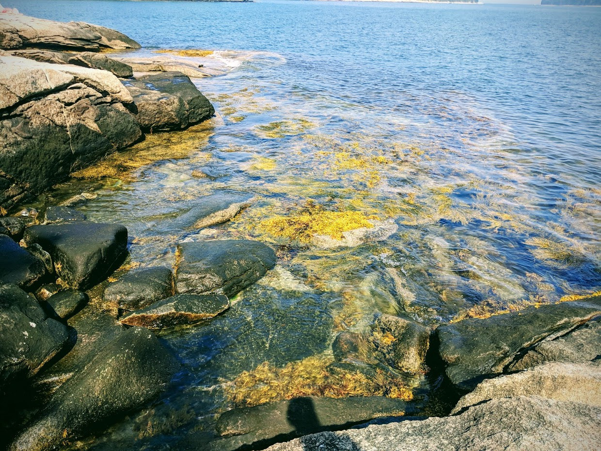 Birch Point Beach State Park (Map, Images and Tips) | Seeker