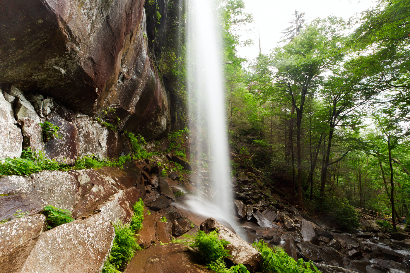 Rainbow Falls Trail (Map, Images and Tips) | Seeker