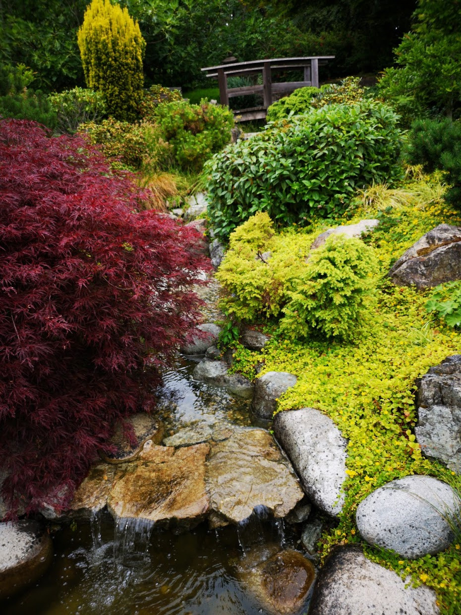 Esquimalt Gorge Park (Map, Images and Tips) | Seeker