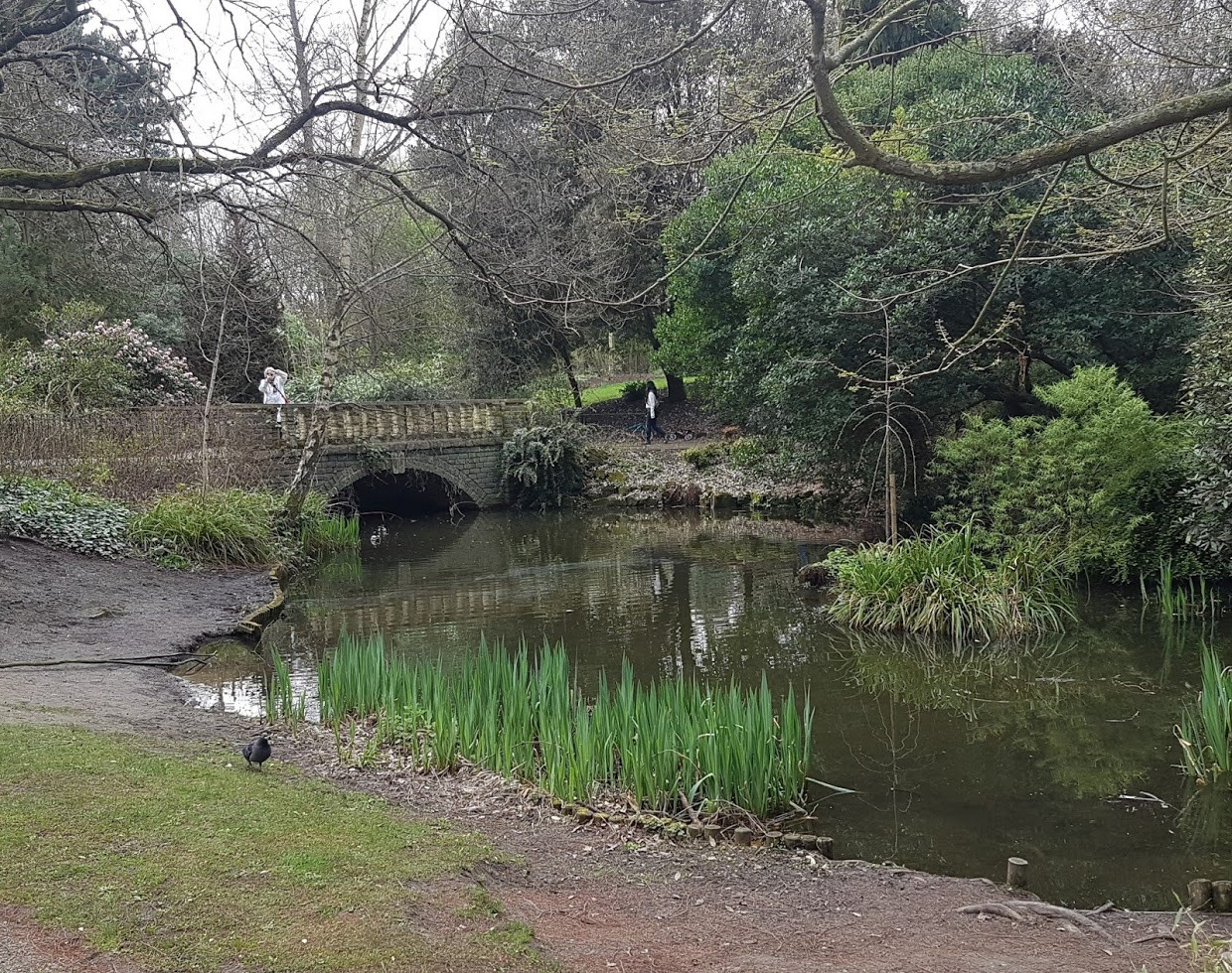 Peckham Rye Park & Common (Map, Images and Tips) | Seeker