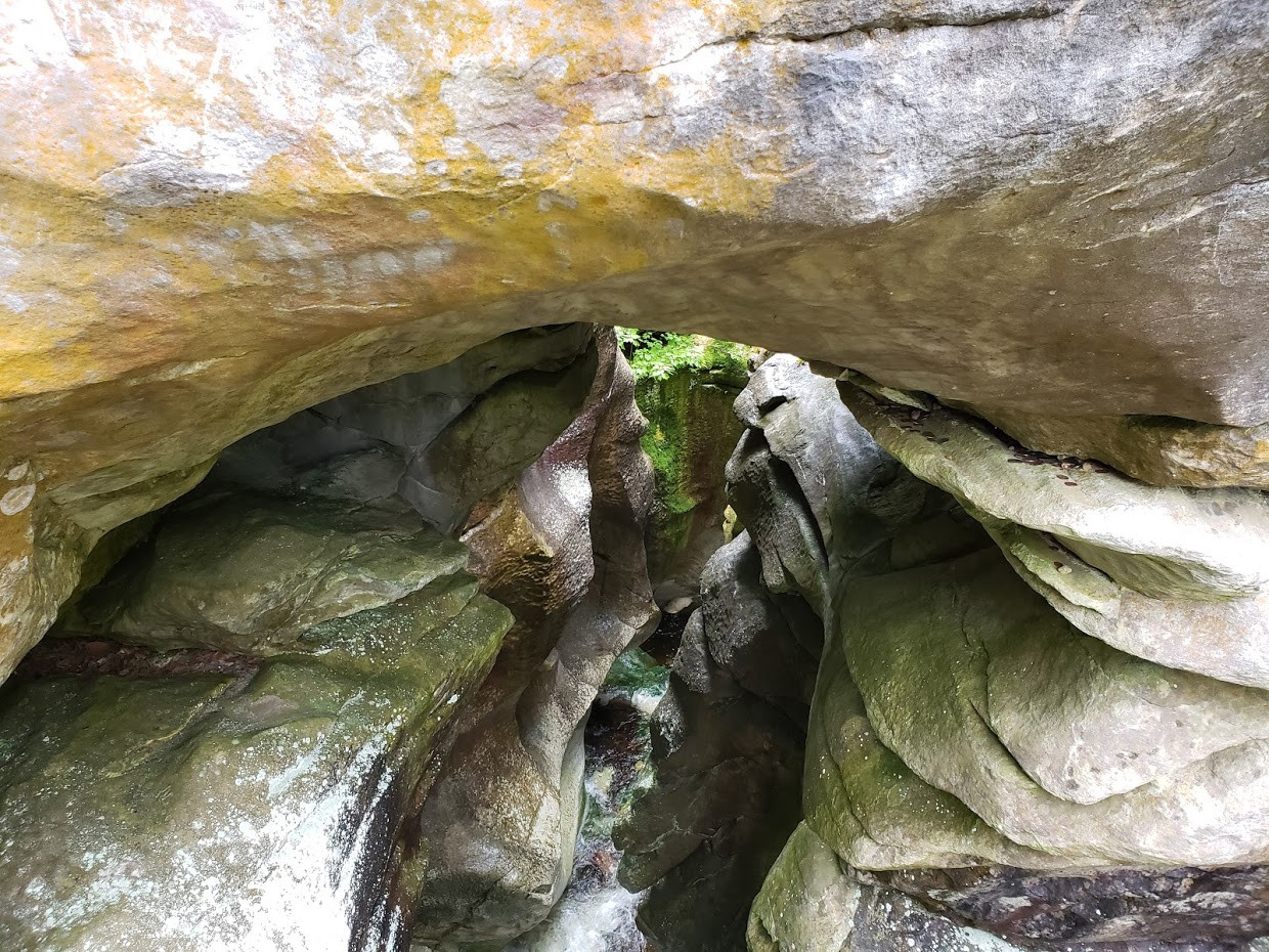 Natural Bridge State Park (Map, Images and Tips) | Seeker