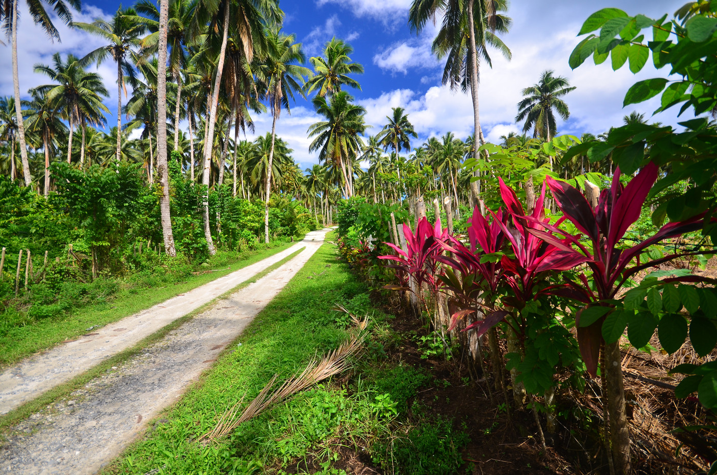 Pago Pago (Map, Images and Things to do) | Seeker