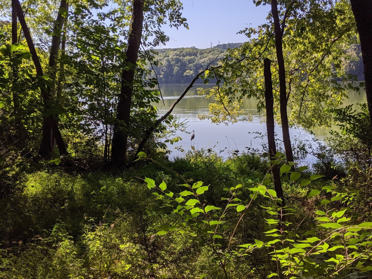 Radnor Lake State Park (Map, Images and Tips) | Seeker