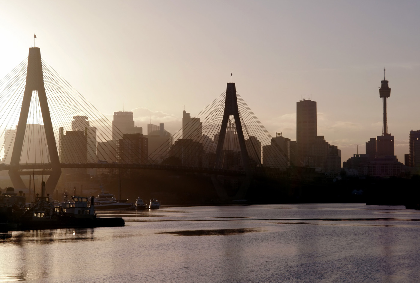 Anzac Bridge (Map, Images and Tips) | Seeker