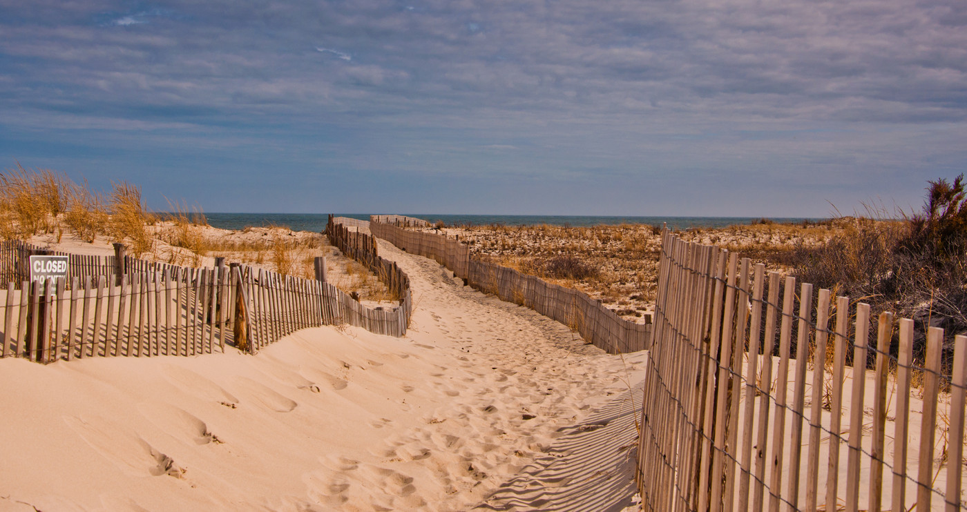 Cape Henlopen State Park (Map, Images and Tips) | Seeker