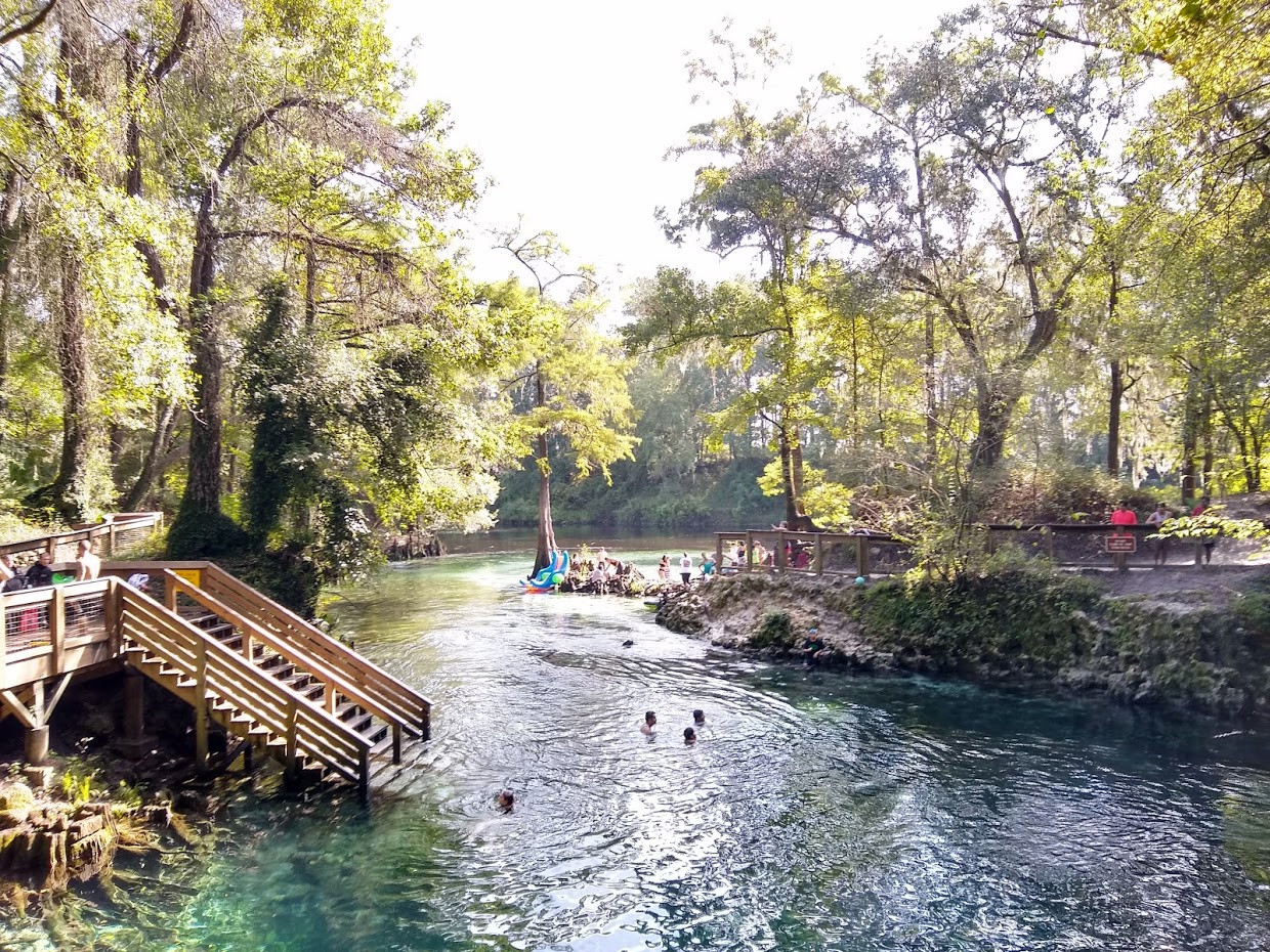 Madison Blue Spring State Park (Map, Images and Tips) | Seeker
