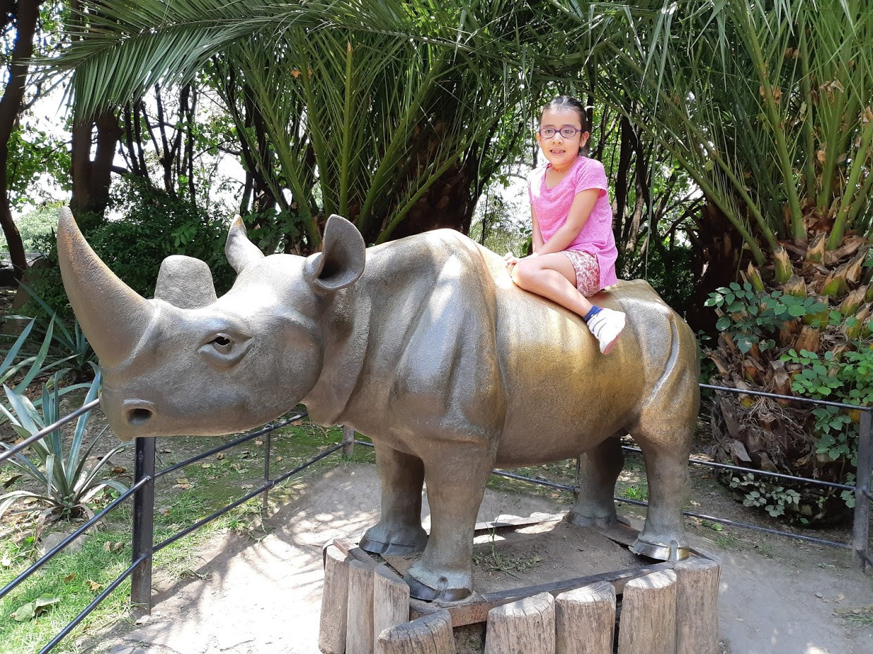 Zoológico de Chapultepec (Map, Images and Tips) | Seeker