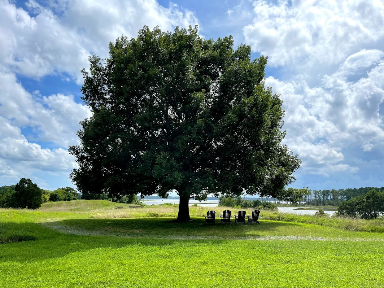 Machicomoco State Park (Map, Images and Tips) | Seeker
