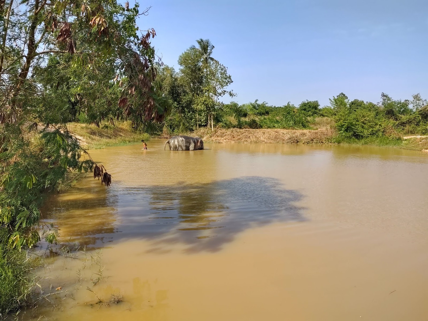 Elephants World (Map, Images and Tips) | Seeker