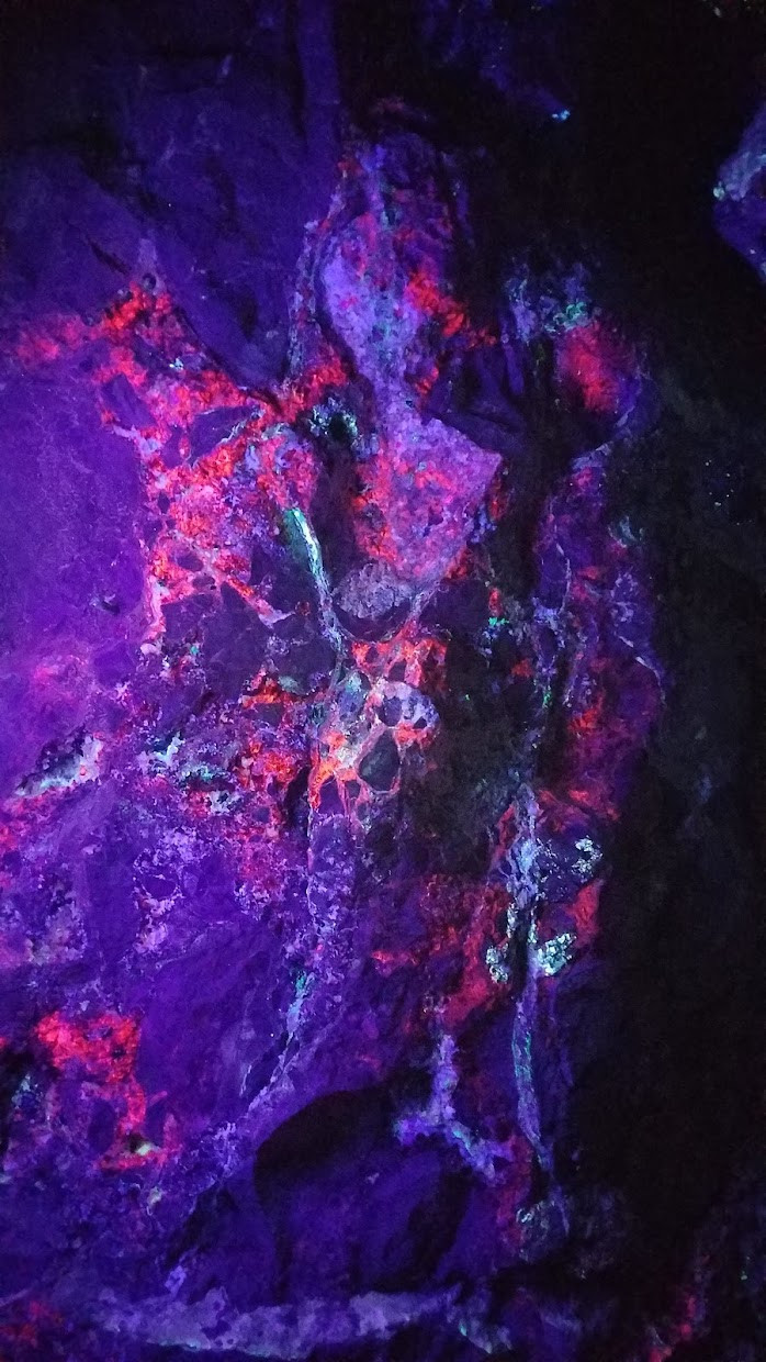 Enchanted Cavern (Map, Images and Tips) | Seeker